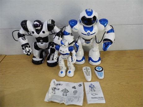 Image result for How to Program Knowledge into Cady Wida Robot with Computer