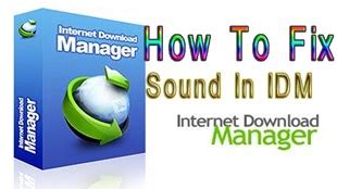 Image result for IDM Language Setting