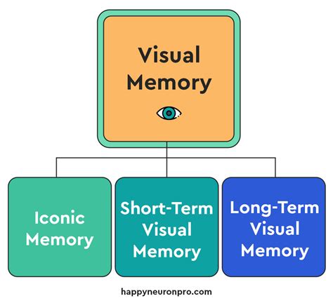 Image result for Visual Memory