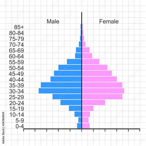 Image result for How to Create a Population Pyramid