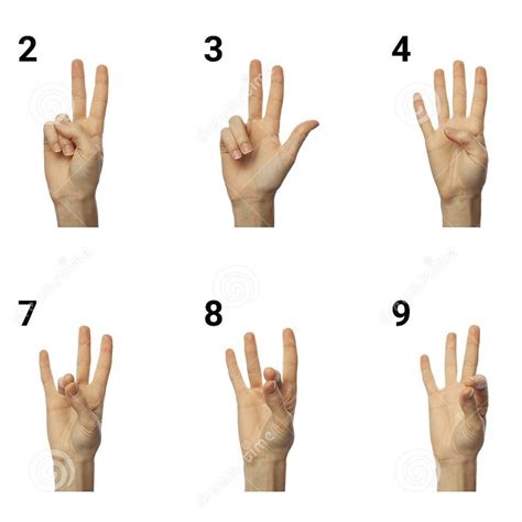 Image result for Sign Language Numbers