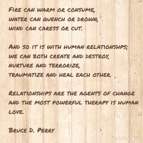 Image result for Bruce Perry Trauma Books