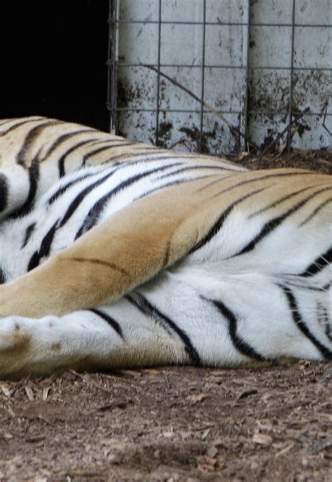 Image result for Weather Channel Live Stream Coverage