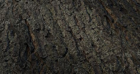 Image result for Quixel Scanner