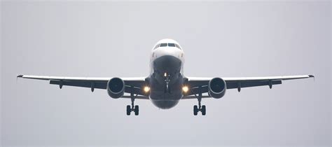 Image result for Fly Front View