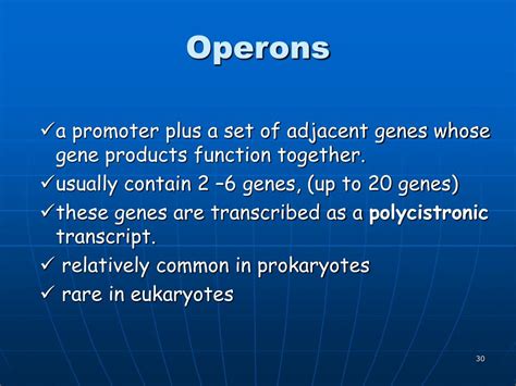 Image result for Gene Expression Promoter Operon
