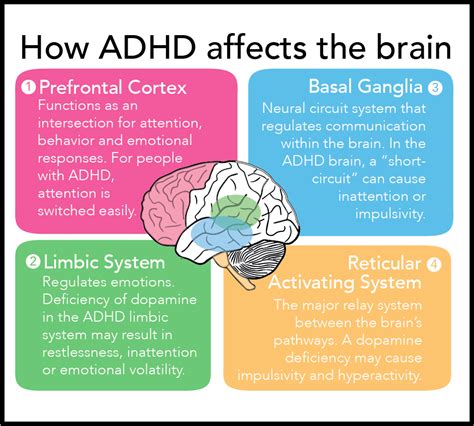 Image result for ADHD Explained