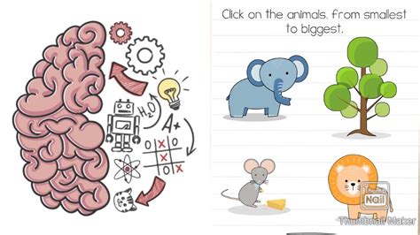 Image result for Brain Test Level 69