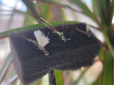 Image result for Basic Fly Cast