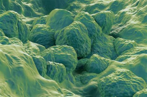 Image result for SAP Super Absorbent Polymer Powder