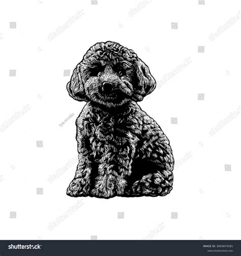 Image result for Cavapoo Art