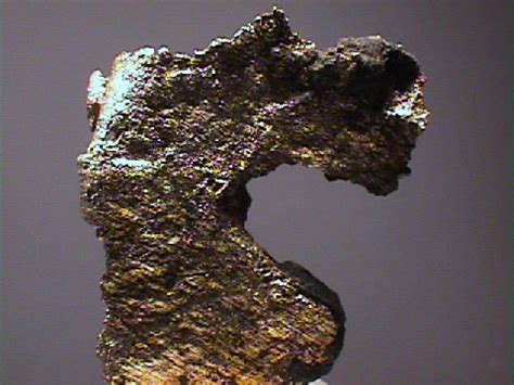 Image result for Sisel Silver