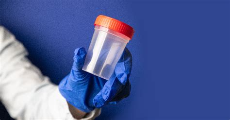 Image result for How to Collect Stool Sample at Home