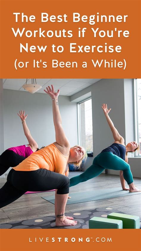 Image result for Daily Exercise for Beginners