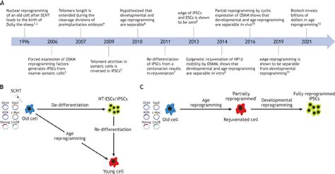 Image result for Reprogrammation Stage 1