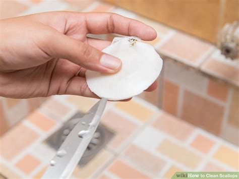 Image result for How to Clean Scallops