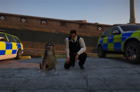 Image result for K9 Dog Handler Script Redm