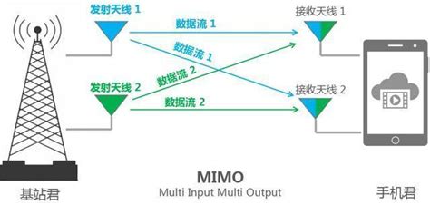 Image result for Fly Mimo