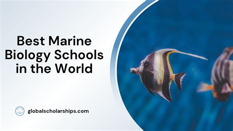 Image result for Marine Science Projects