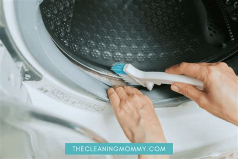 Image result for Washing Machine Having Bad Smell