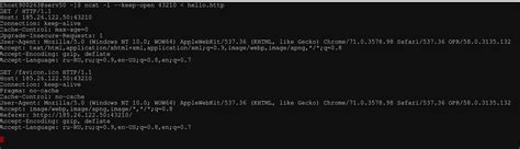 Image result for Install Ncat On Linux Using APG Install