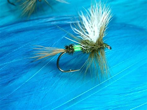 Image result for Royal Coachman Fly Pattern