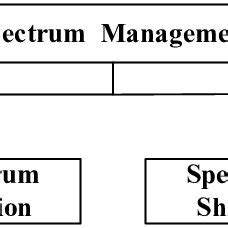 Image result for Spectrum Management Using Spectrum 21