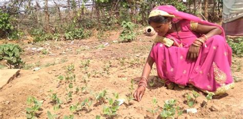 Image result for Food Security Working Model