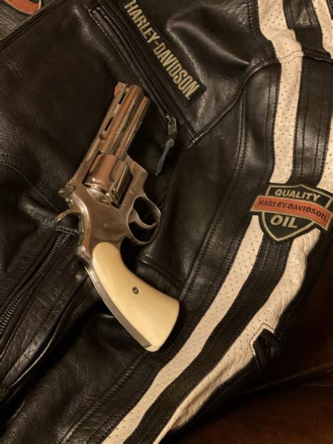 Image result for Python Harley