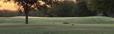 Image result for Golf Course Science