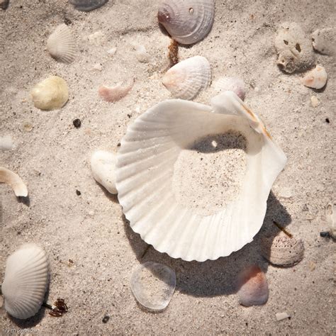 Image result for Selection Project Square Photo