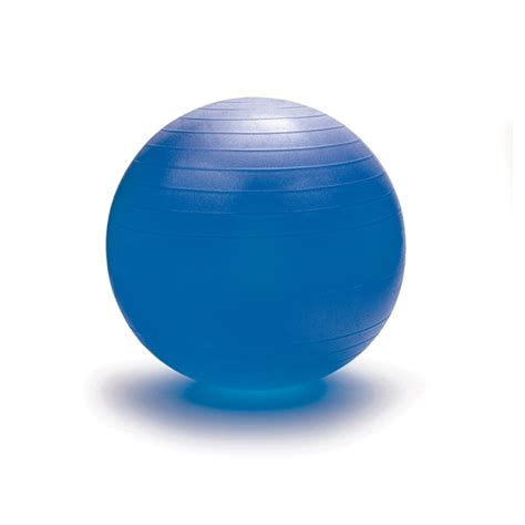 Image result for Small Blue Exercise Ball