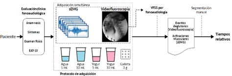 Image result for VFSS Procedure