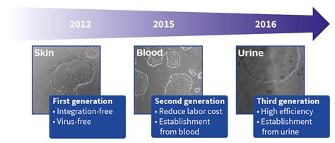 Image result for IPSC Reprogramming