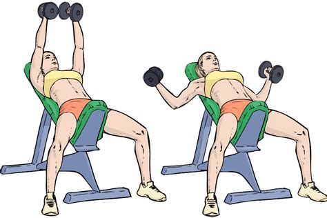 Image result for Fly Press Workout