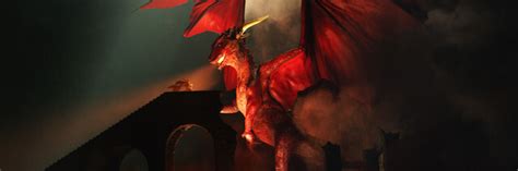 Image result for Java Magemu