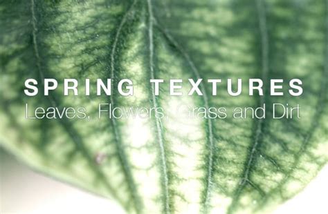 Image result for Vivaldi Spring Texture