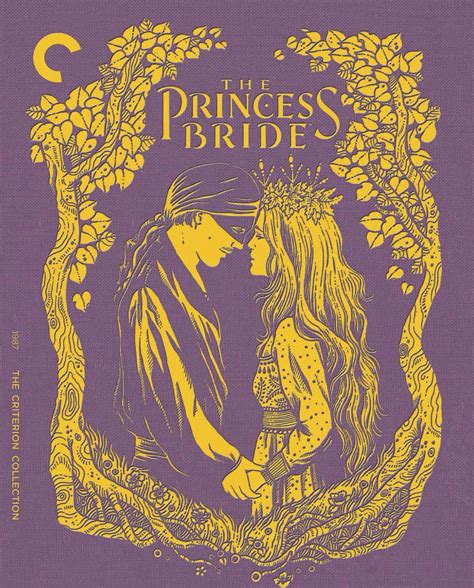 Image result for The Princess Bride Audiobook Cover