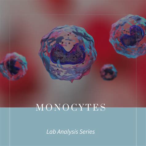 Image result for Monocytes Absolute
