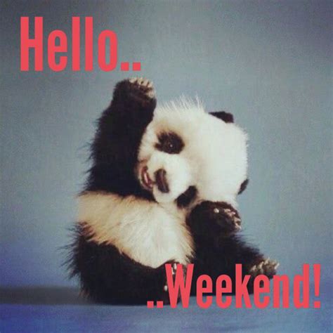 Image result for Hello Weekend Spring