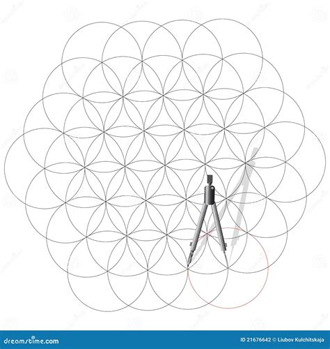 Image result for Draw Circles Using a Compass
