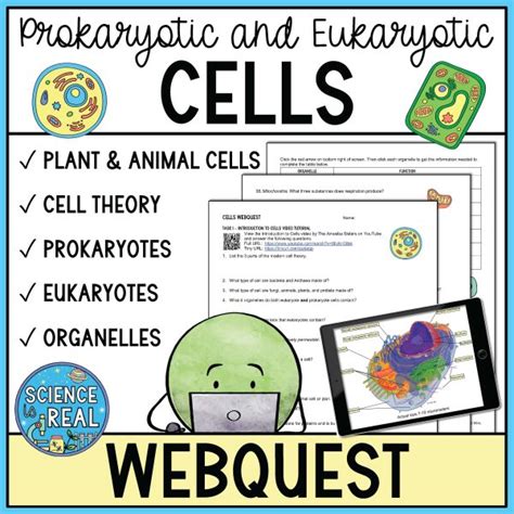 Image result for CellQuest Tutorial