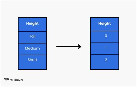 Image result for From Sklearn Preprocessing Import Ordinalencoder
