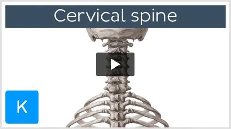 Image result for Alar Guide