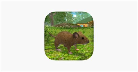 Image result for Mouse Simulator