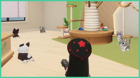 Image result for Fisch Exp Script