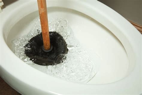 Image result for Clogged Poop