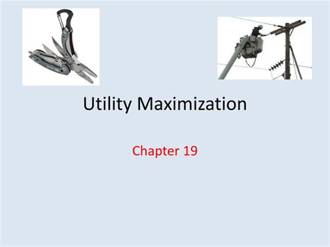 Image result for Utility Maximization Explained