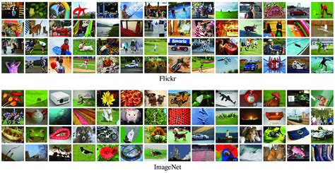 Image result for ImageNet Dataset