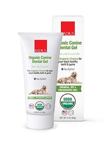 Image result for Regular Toothpaste for Dogs